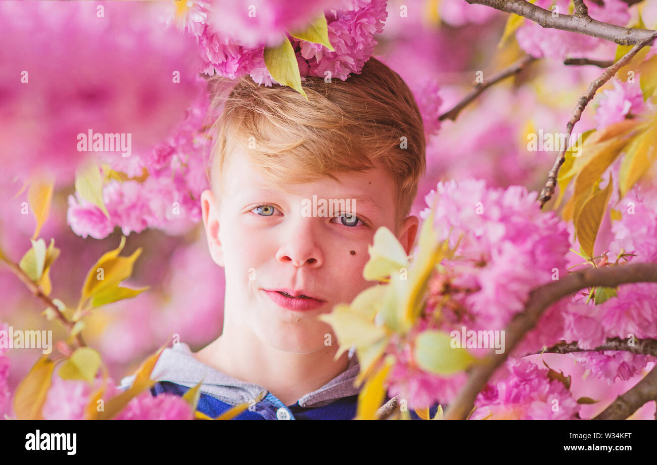 Tender bloom. Cute child enjoy warm spring day. Visit sakura garden ...