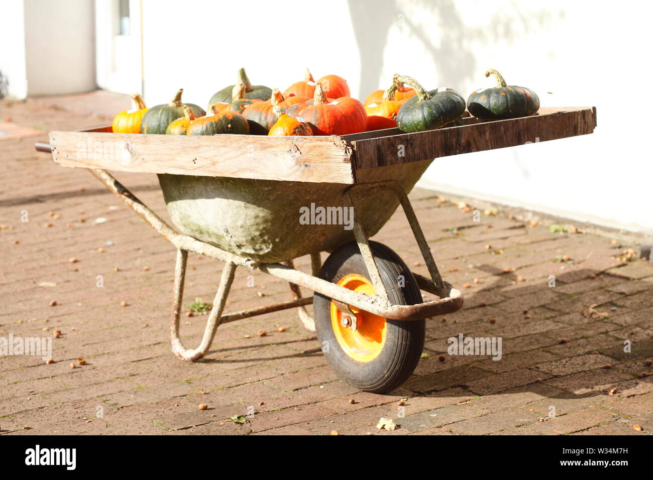 Gourds in a pushcart, Fischerhude, Lower Saxony, Germany, Europe Stock ...