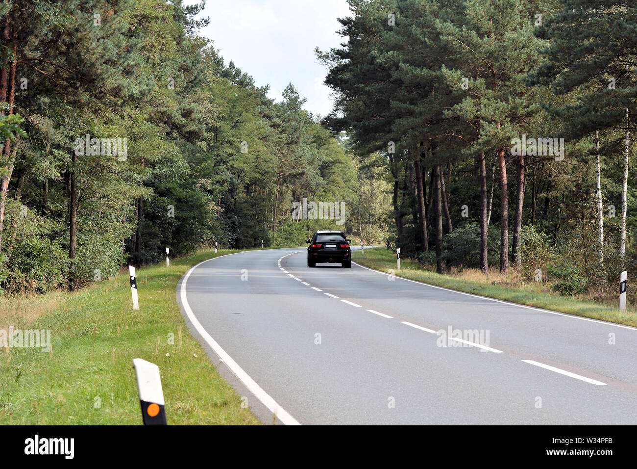 Pavement through forest hi-res stock photography and images - Alamy