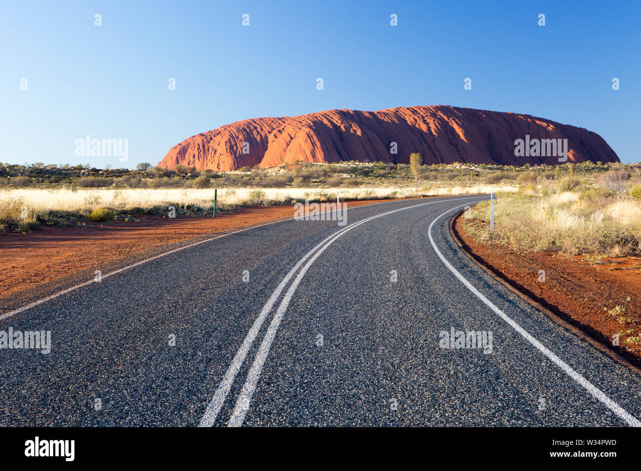 Uluru at Sunset with Camels Stock Photo - Alamy