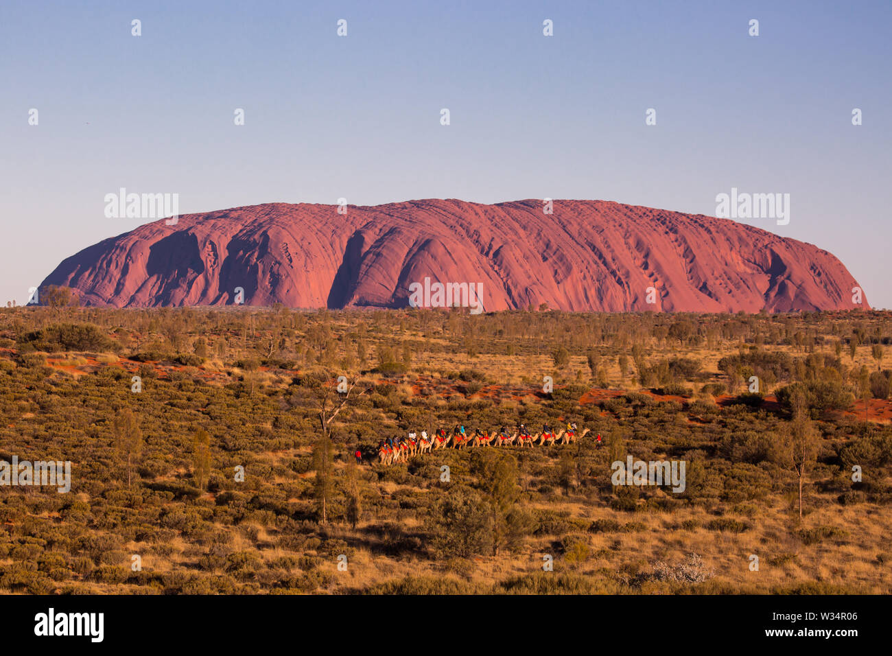 Uluru Camel High Resolution Stock Photography and Images - Alamy