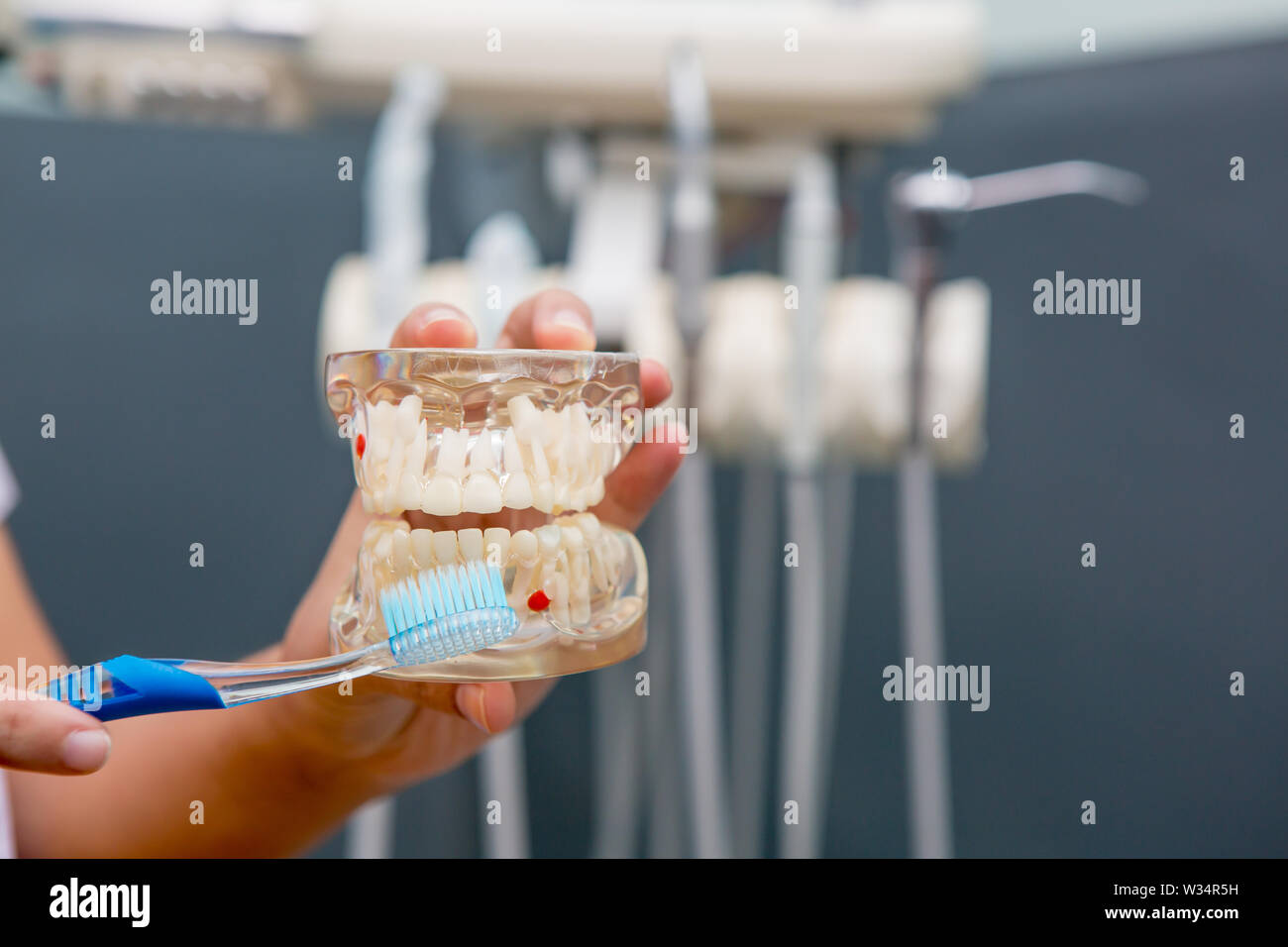 Dental Teeth Model and dental tool Stock Photo - Alamy
