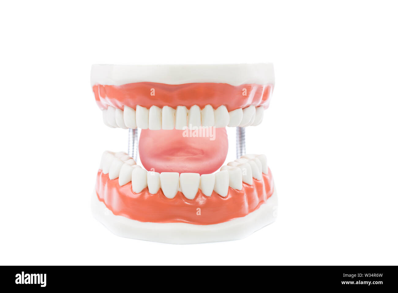 Human teeth row hi-res stock photography and images - Alamy