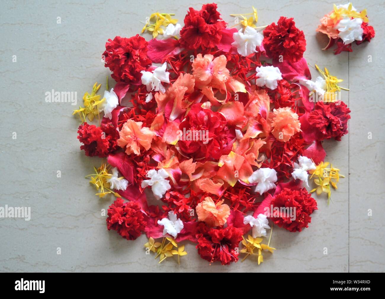 Onam festival- making flower carpet using home grown flowers-Onam ...