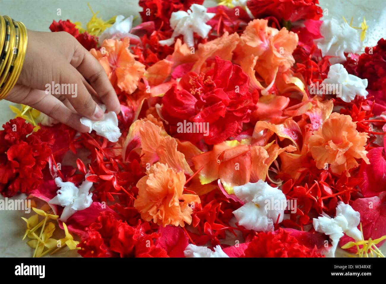 Onam festival- making flower carpet using home grown flowers-Onam ...