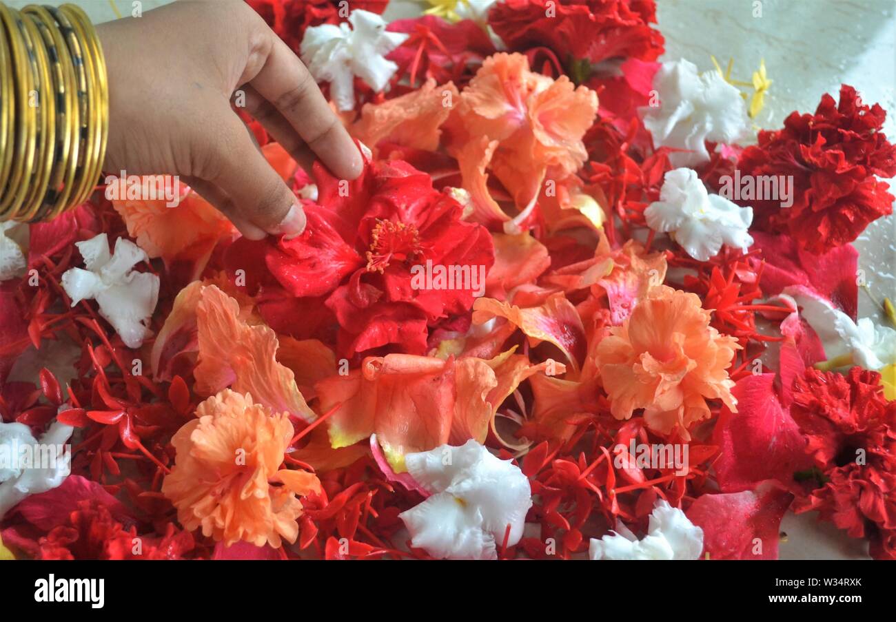 Onam festival- making flower carpet using home grown flowers-Onam ...