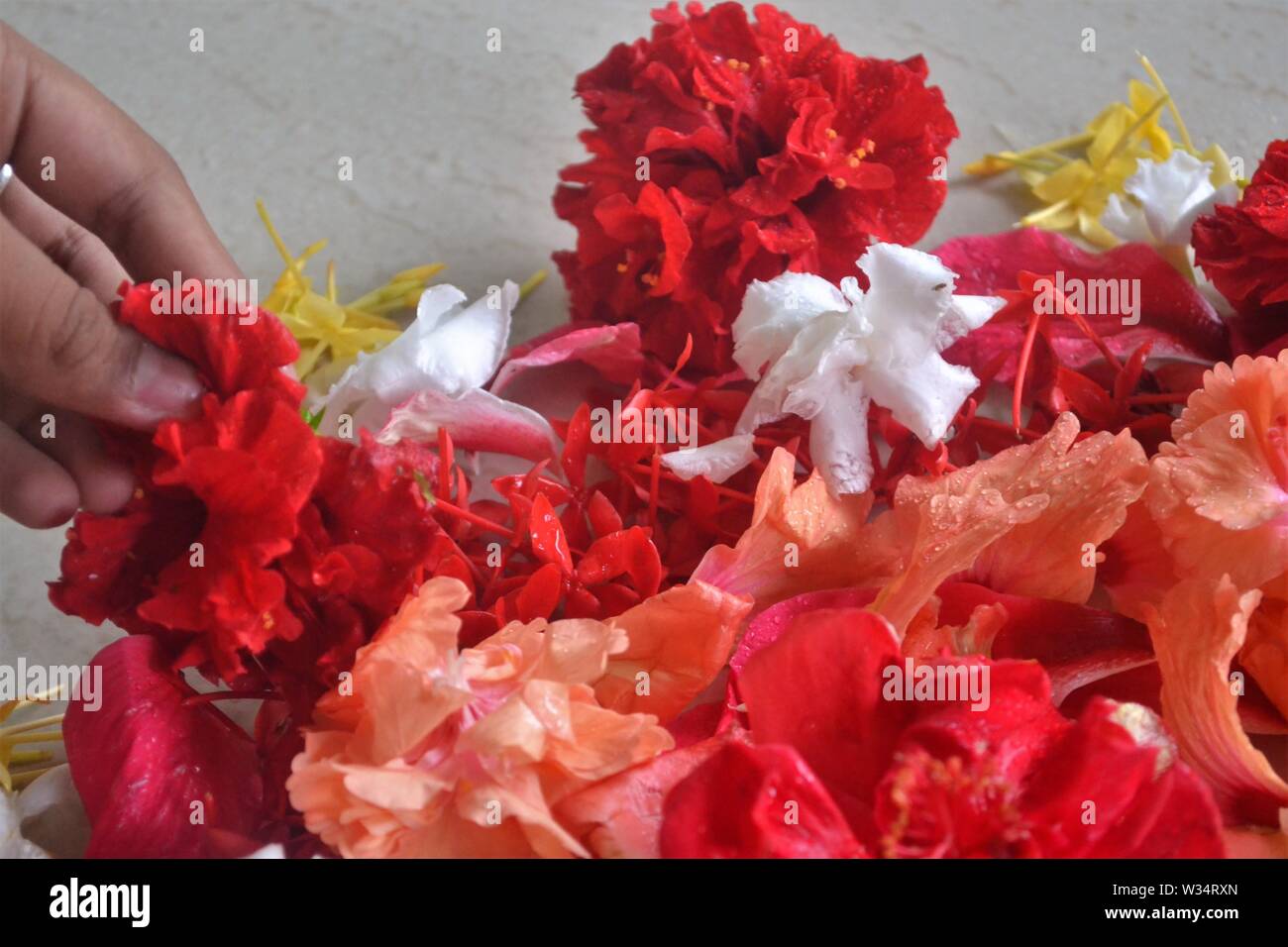 Onam festival- making flower carpet using home grown flowers-Onam ...