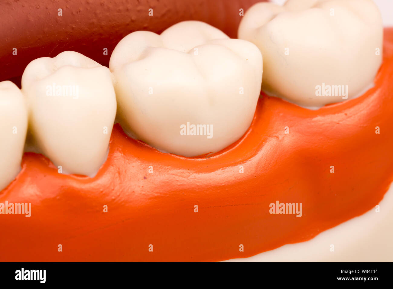 Tooth row hi-res stock photography and images - Alamy