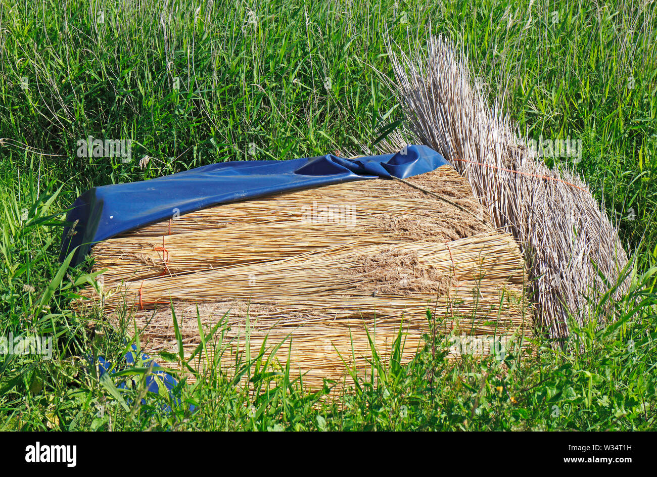 Partly covered hi-res stock photography and images - Alamy