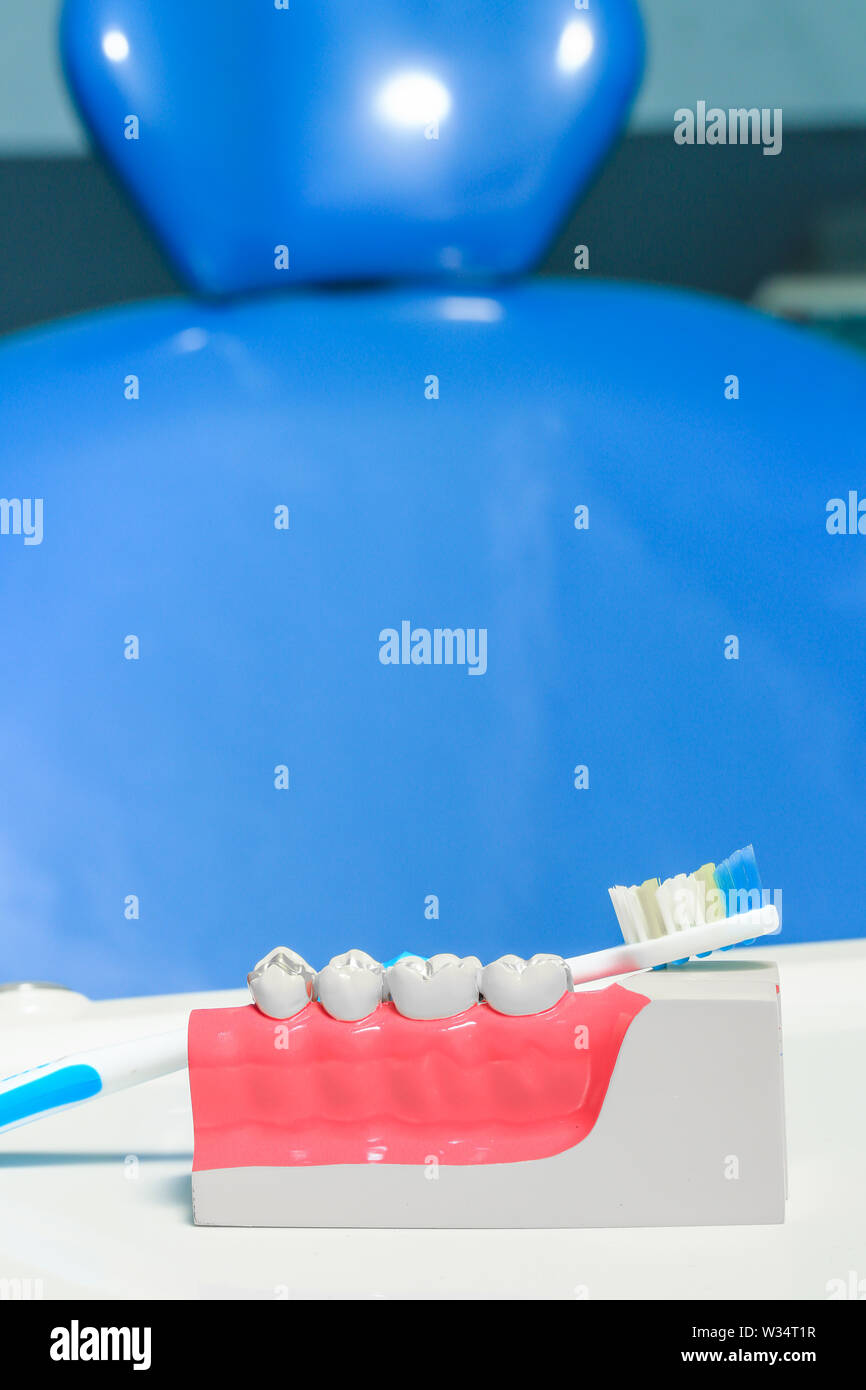 dental model with a toothbrush when brushing teeth Stock Photo - Alamy