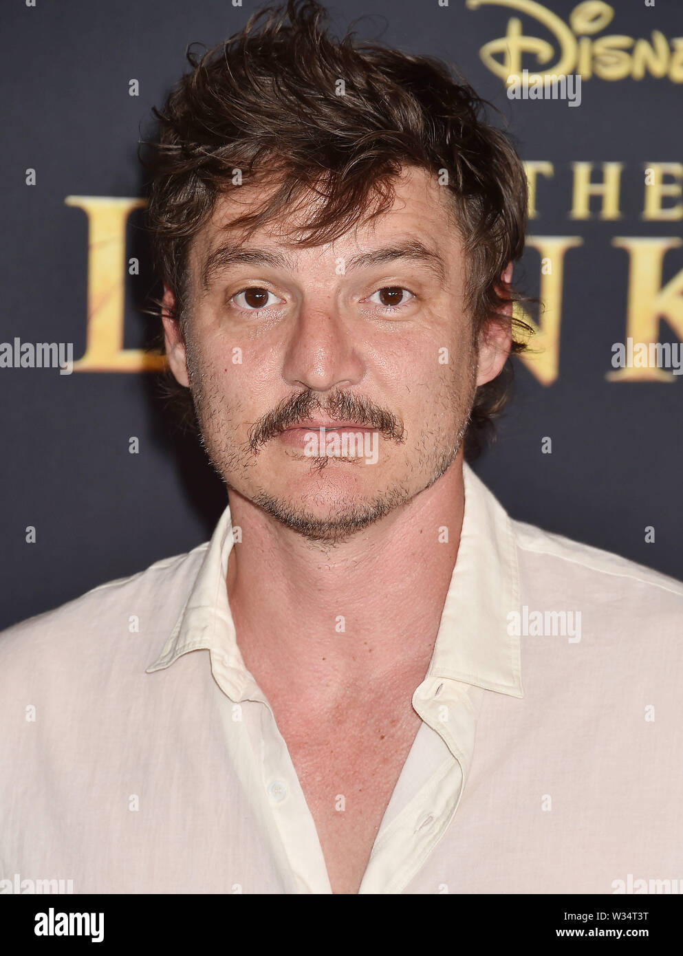 HOLLYWOOD, CA - JULY 09: Pedro Pascal attends the premiere of Disney's ...