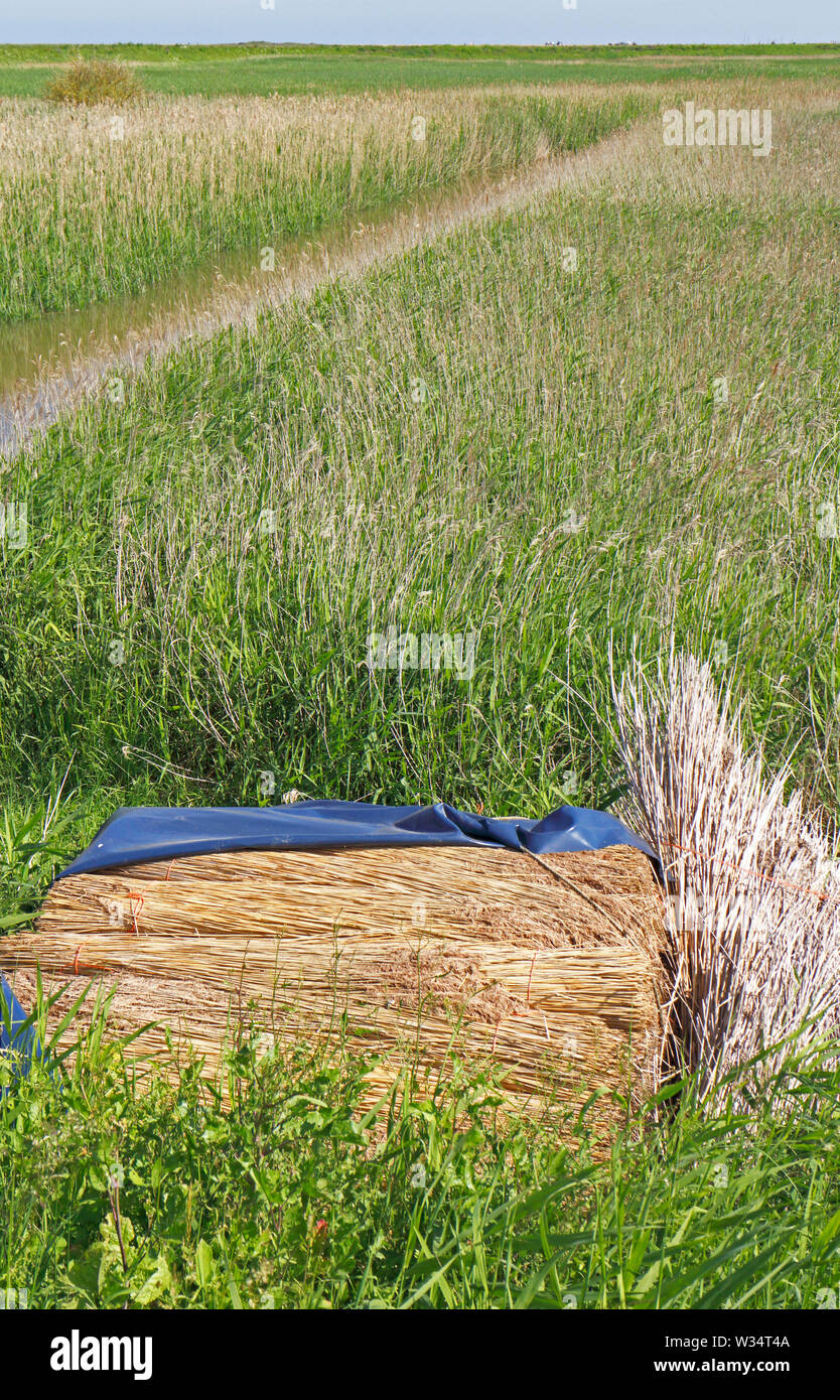 Partly covered hi-res stock photography and images - Alamy