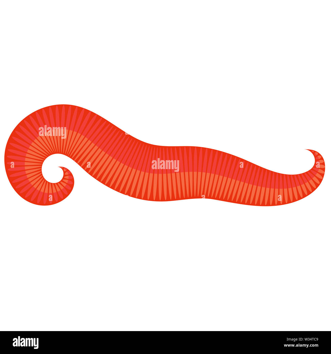 Animal Earth Red Worm for Fishing on White Background Stock Photo - Alamy