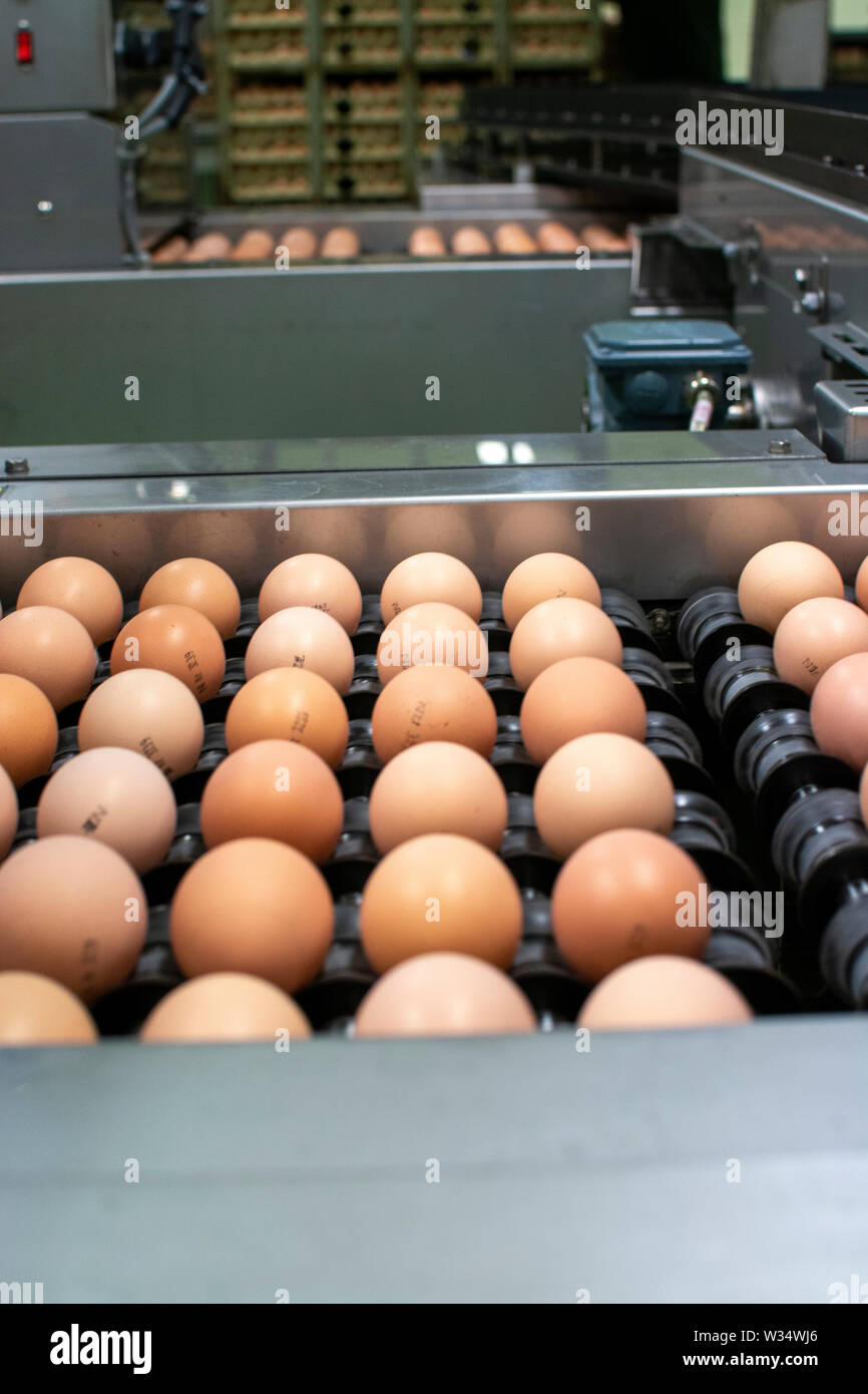 High protein level plant hi-res stock photography and images - Alamy