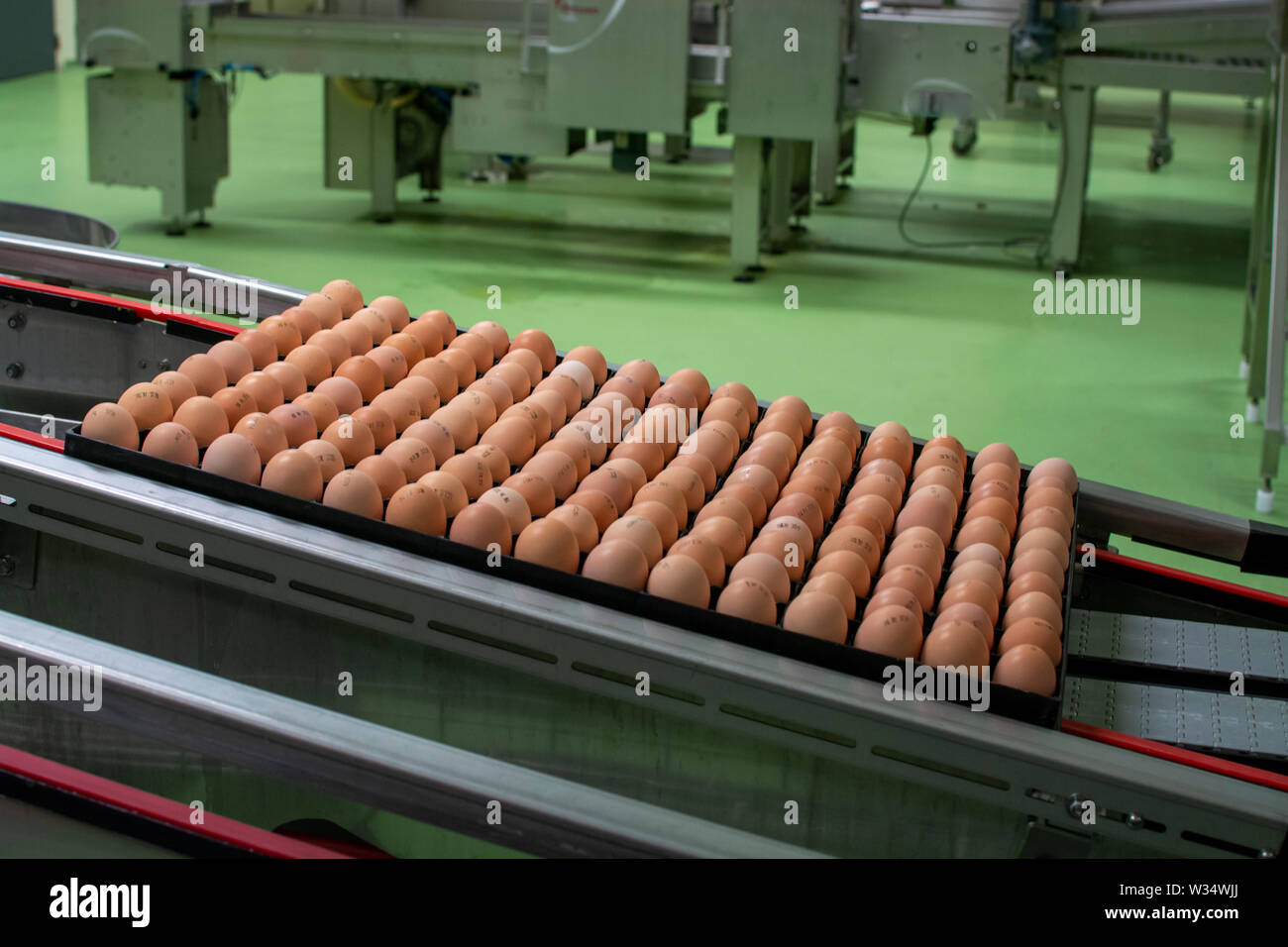 Modern packing, handling and transportation to incubators of high ...