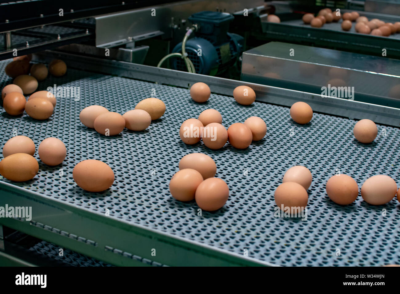 Modern packing, handling and transportation to incubators of high ...