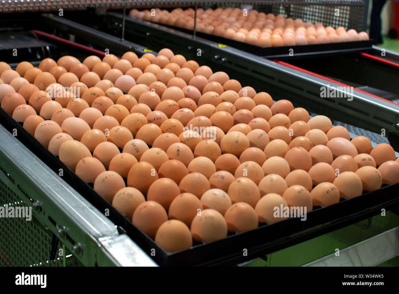 Modern packing, handling and transportation to incubators of high ...