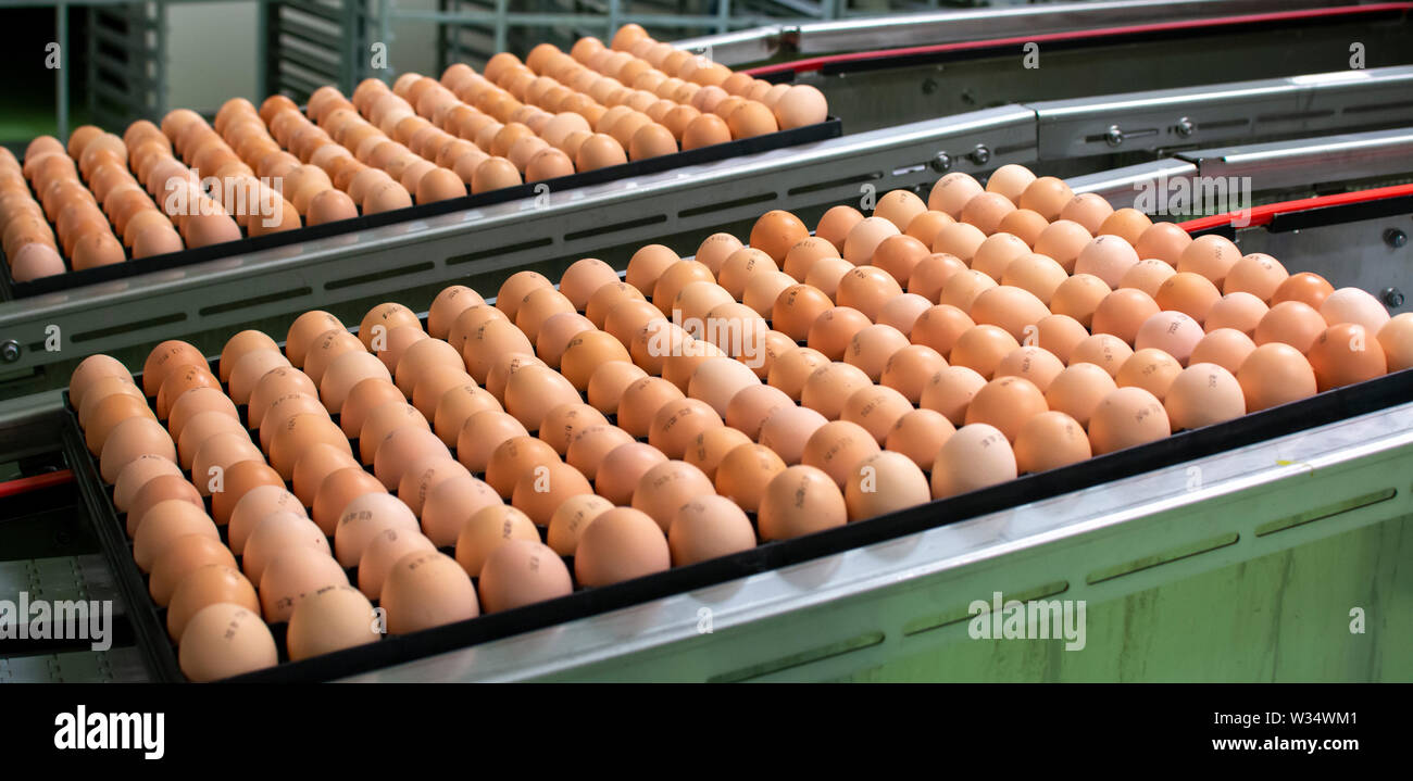 Modern packing, handling and transportation to incubators of high ...