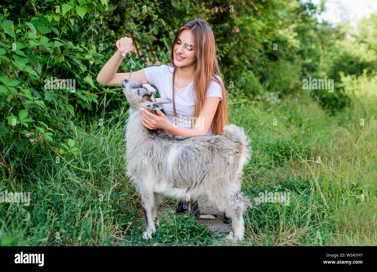 Every animal is different. woman vet feeding goat. farm and farming ...