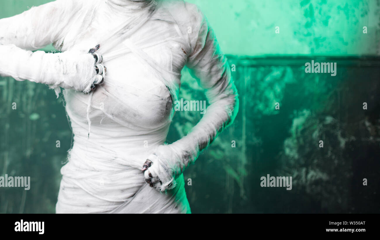 Glamorous mummy. Portrait of a young beautiful woman in bandages all ...