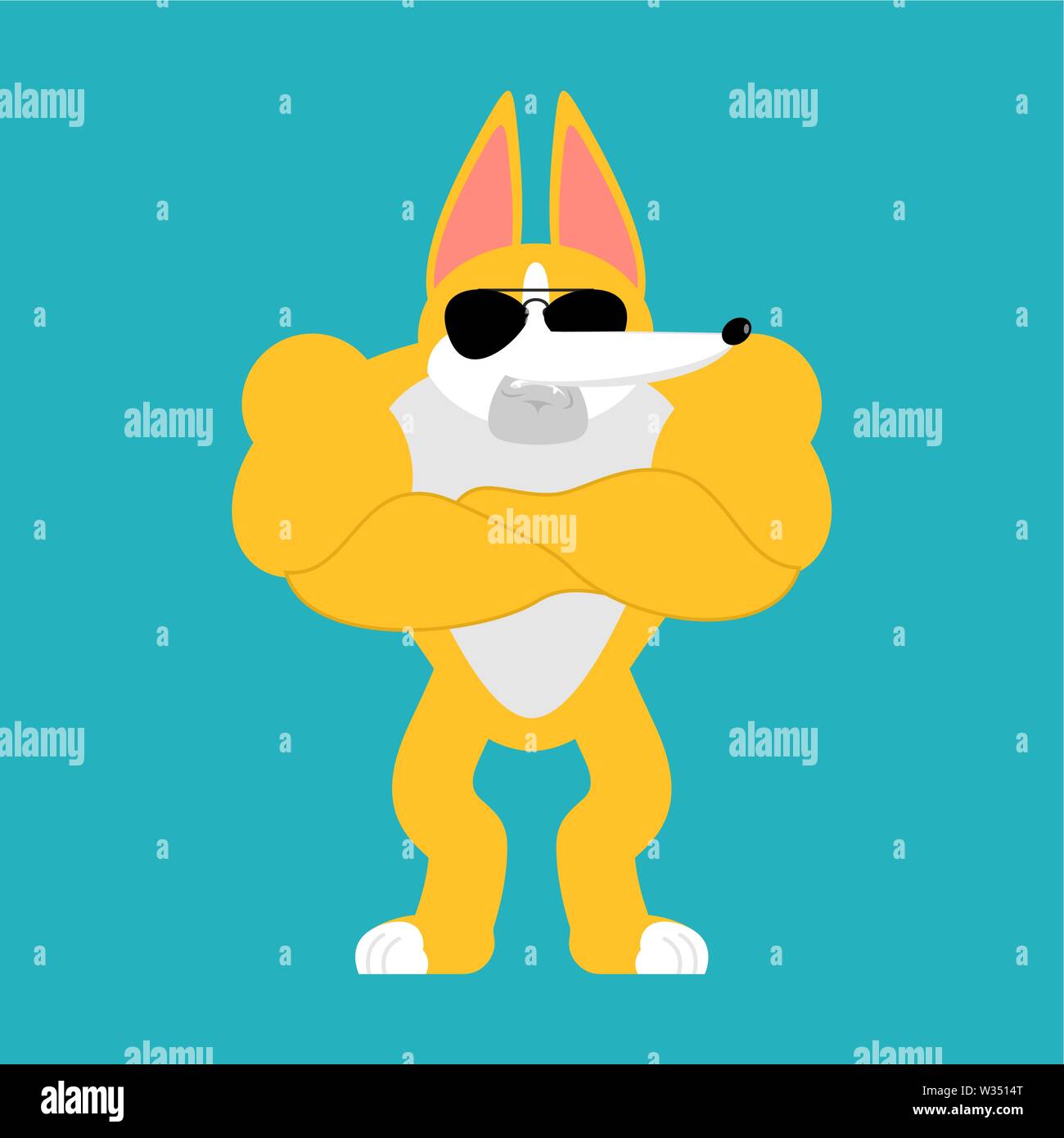 Corgi Strong Cool serious. Dog powerful. Pet strict. Vector ...