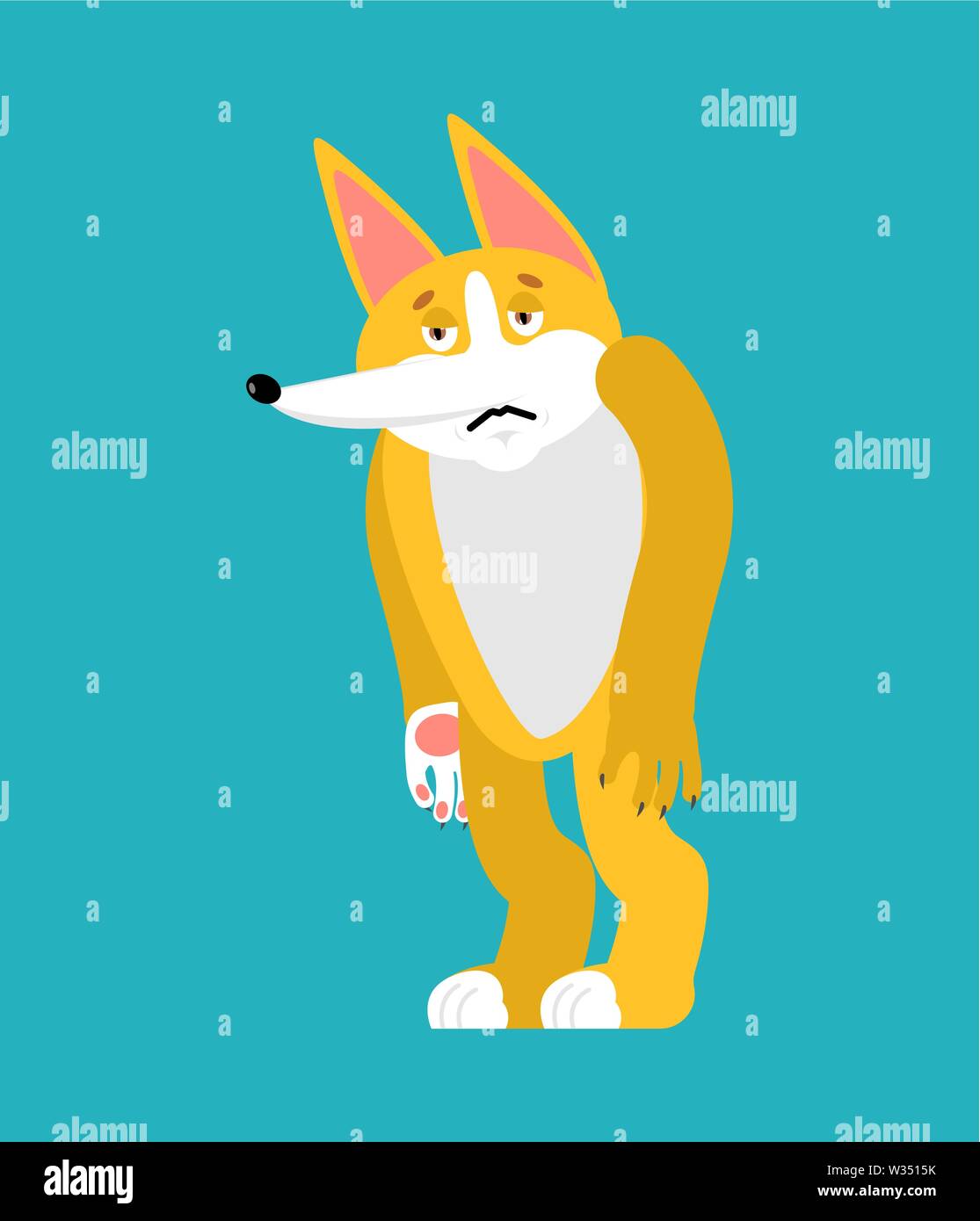 Happy face sad face corgi hi-res stock photography and images - Alamy
