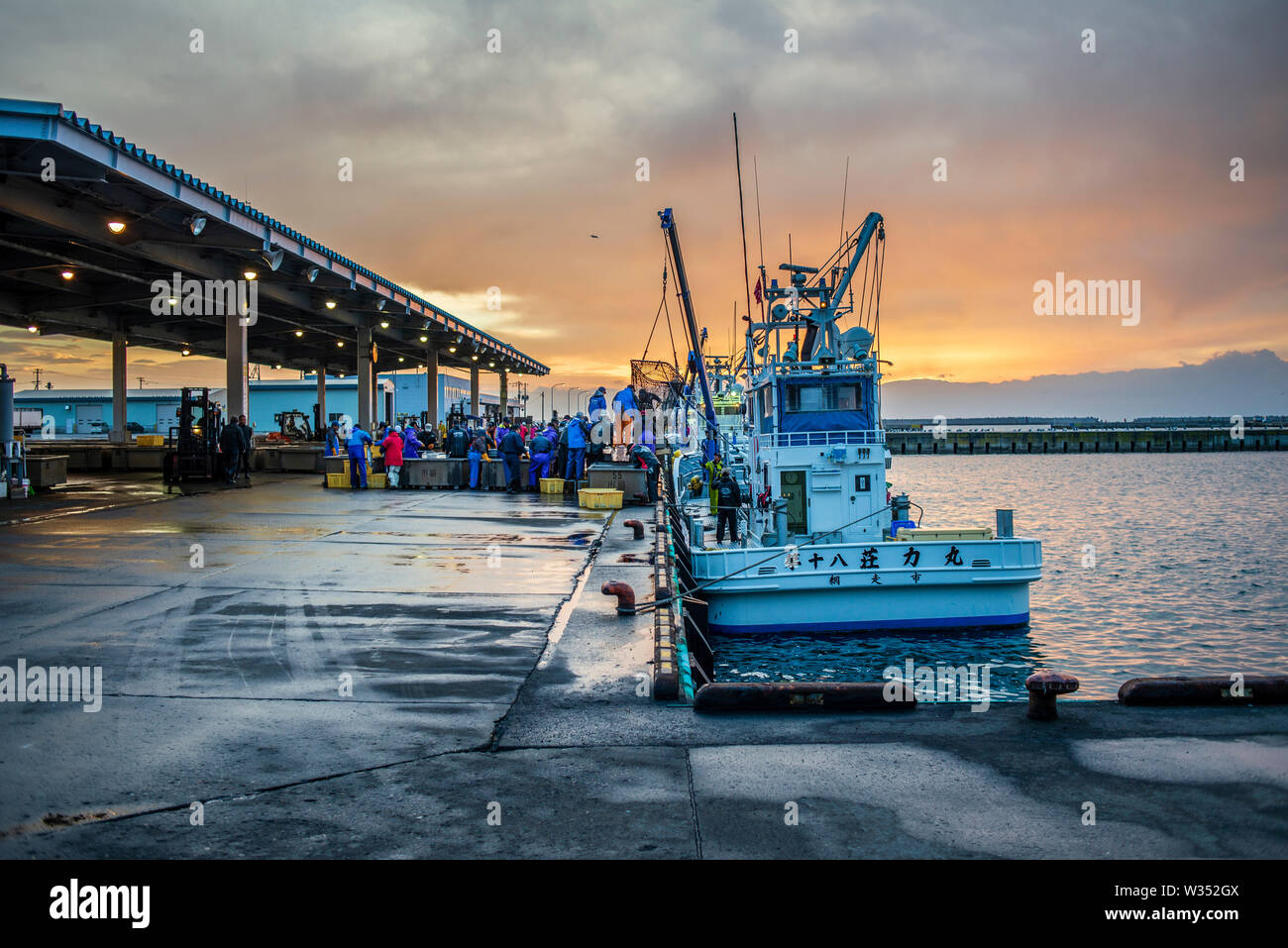 The early morning fish landing and auction at Japan Fisheries ...