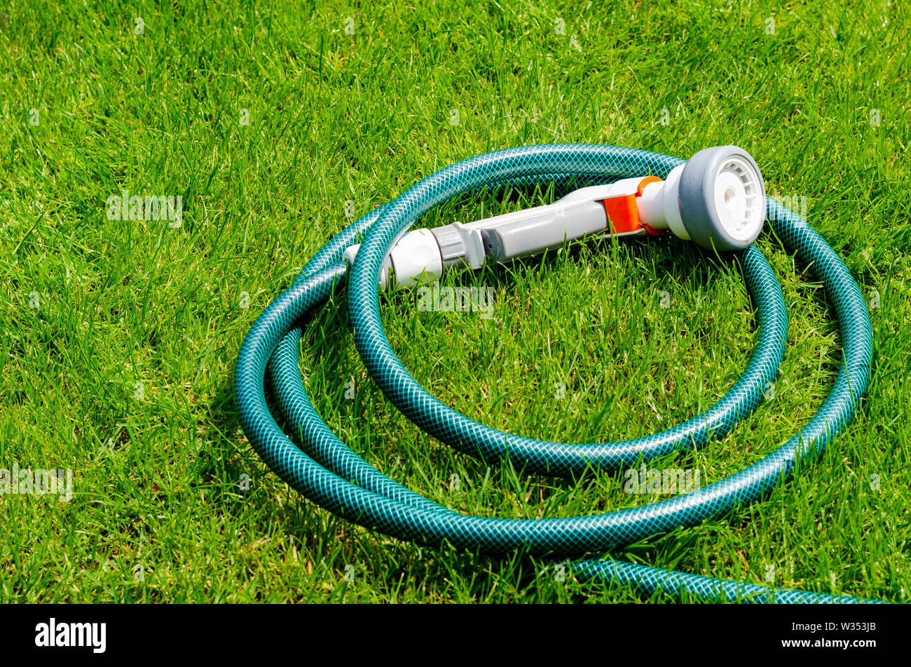 Green hose for watering lies on grass, lawn. Studio Photo Stock Photo ...