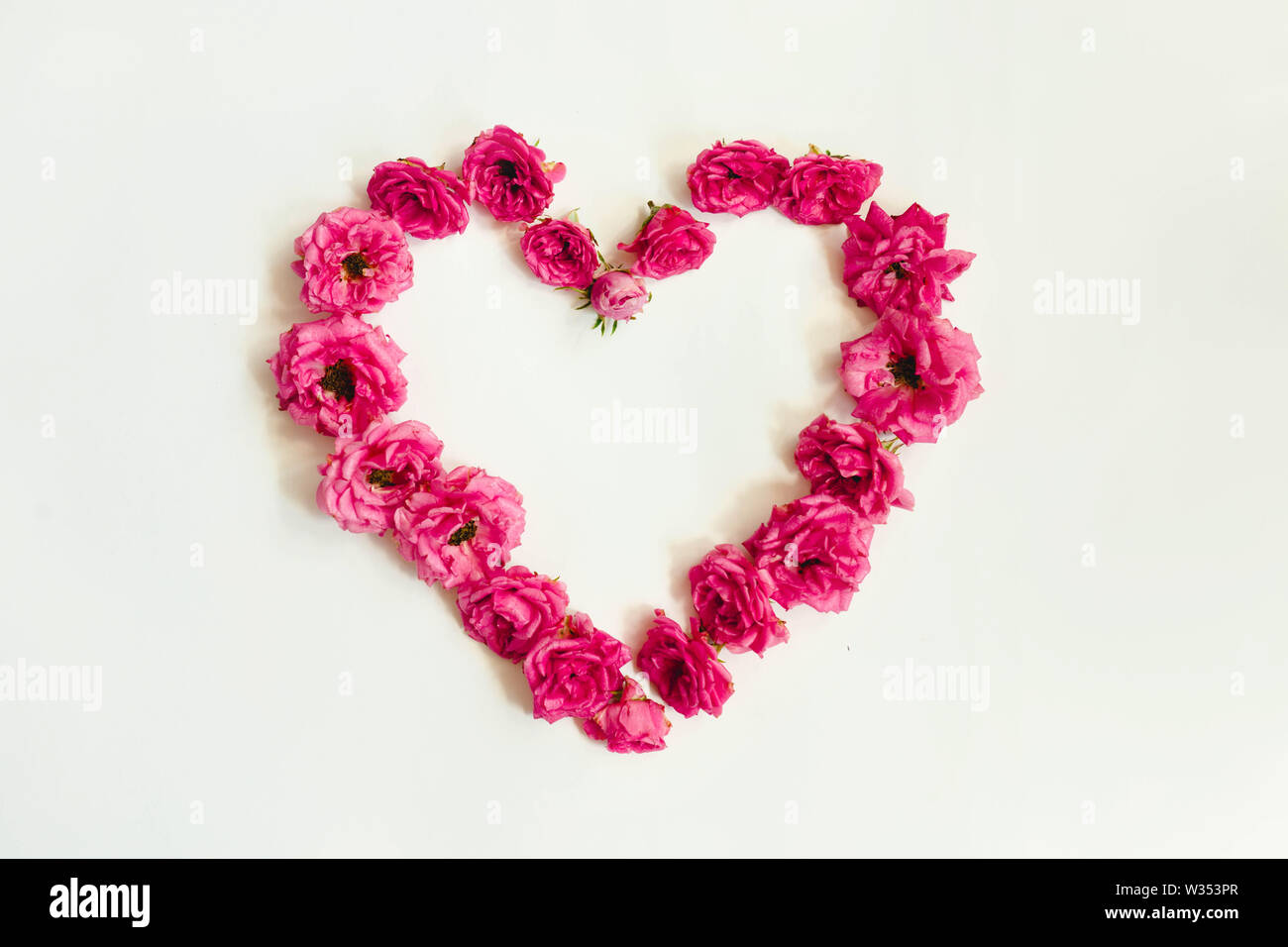heart of pink roses on white background, nature heart Stock Photo - Alamy