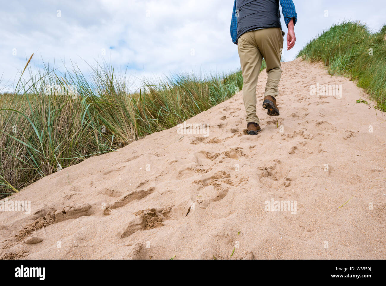 Senior man trudging up steep sand dune slope, Aberlady Nature Reserve ...