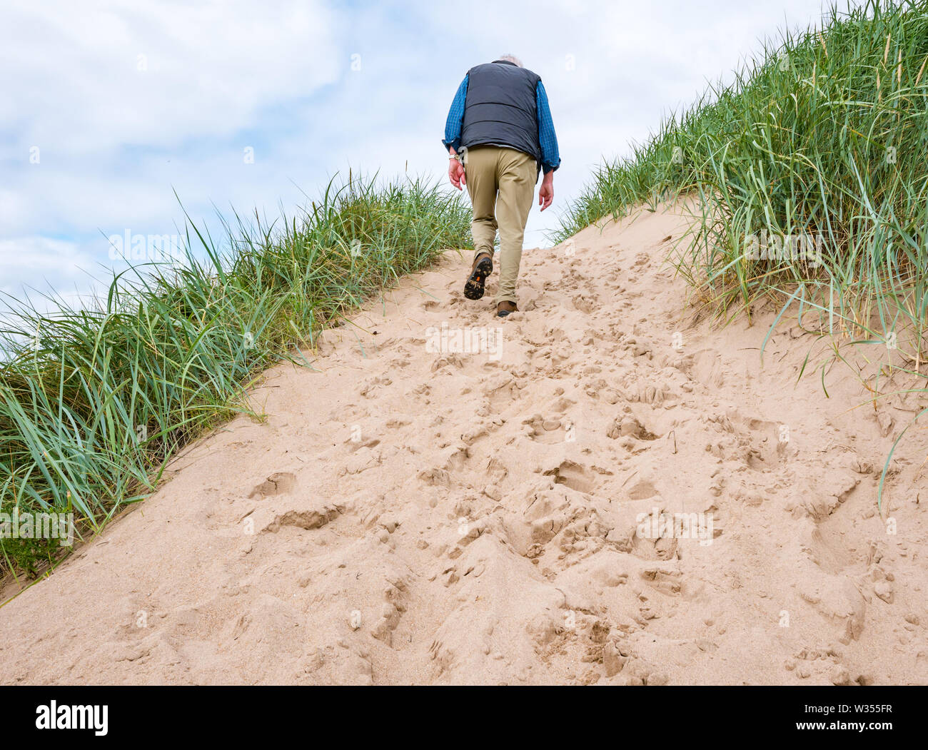 Senior man trudging up steep sand dune slope, Aberlady Nature Reserve ...