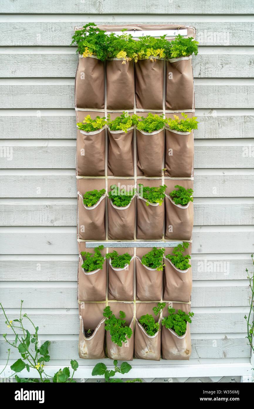 South facing wall hi-res stock photography and images - Alamy