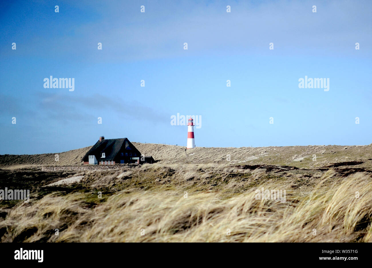 Sylt, Germany. 19th Feb, 2019. The List-Ost lighthouse on the island of ...