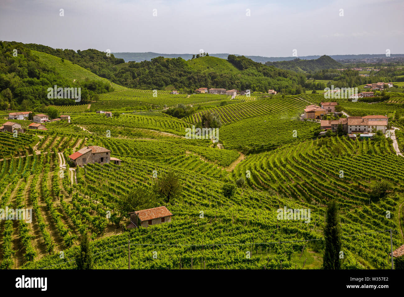 Picturesque hills with vineyards of the Prosecco sparkling wine, region ...