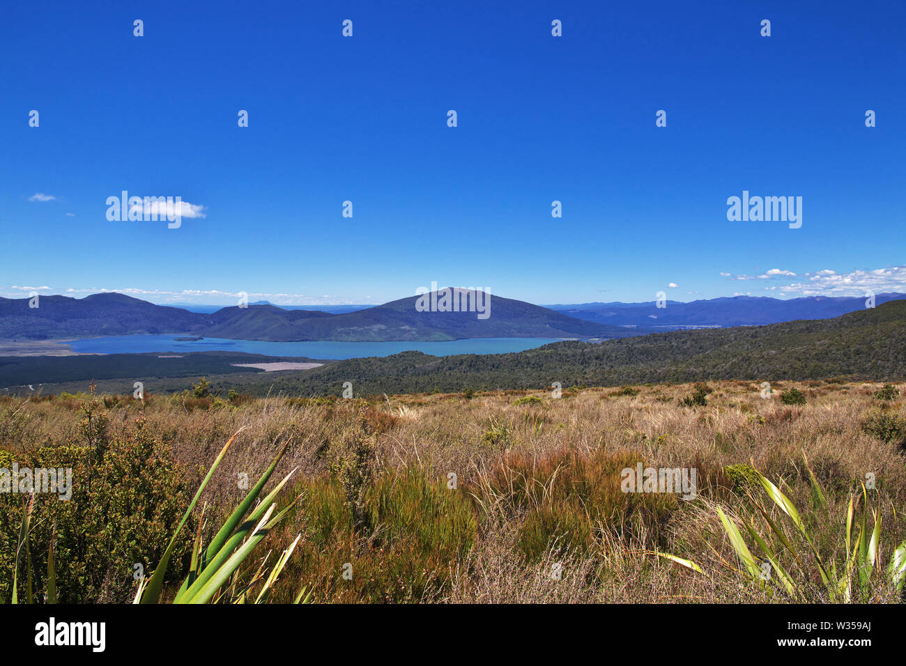 Tongariro national Park, New Zealand Stock Photo - Alamy