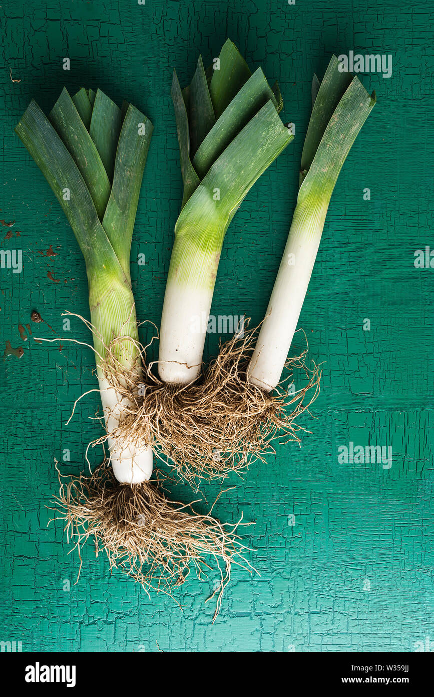 Fresh leeks with roots and soil Stock Photo - Alamy