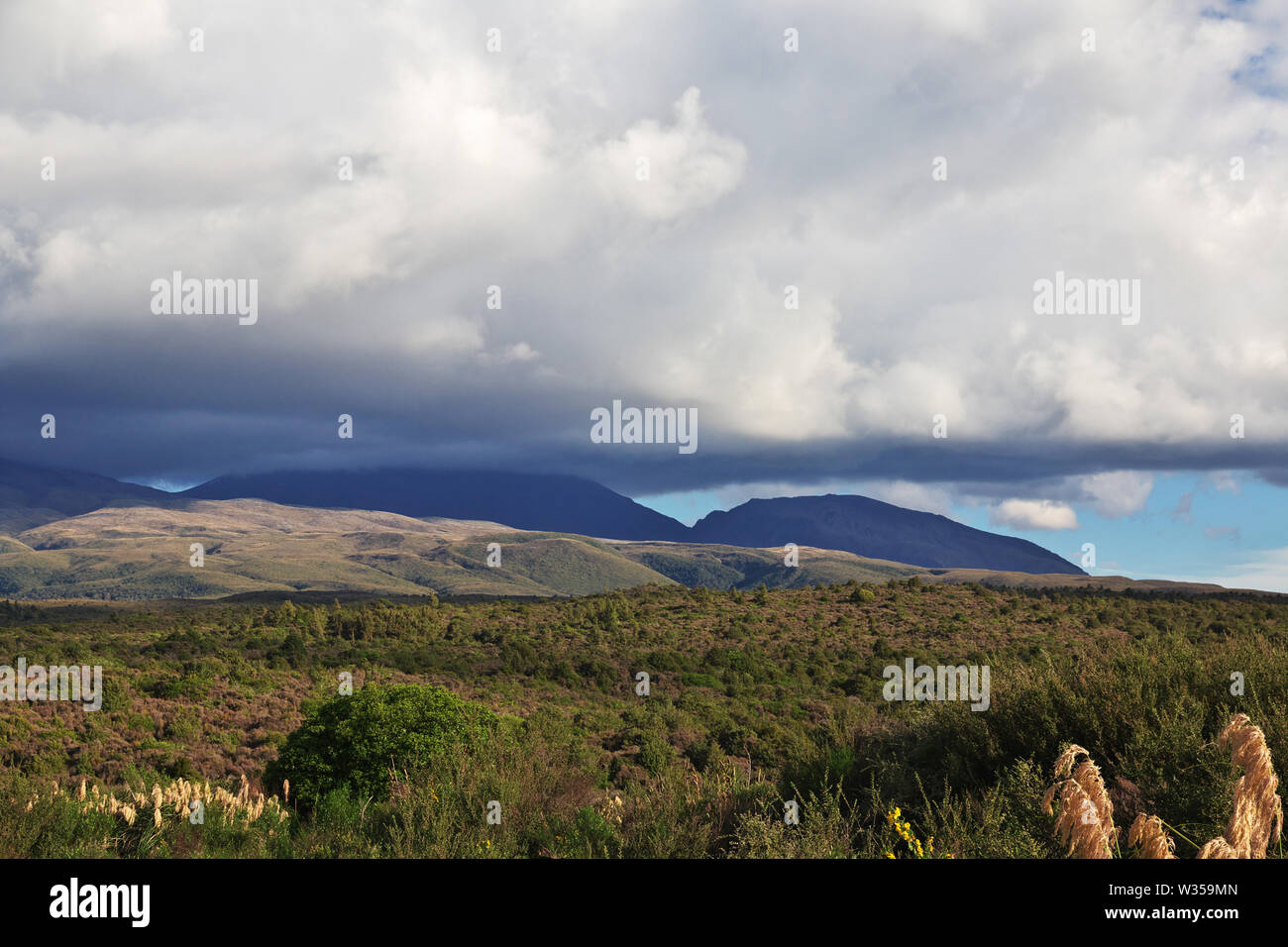 Tongariro national Park, New Zealand Stock Photo - Alamy