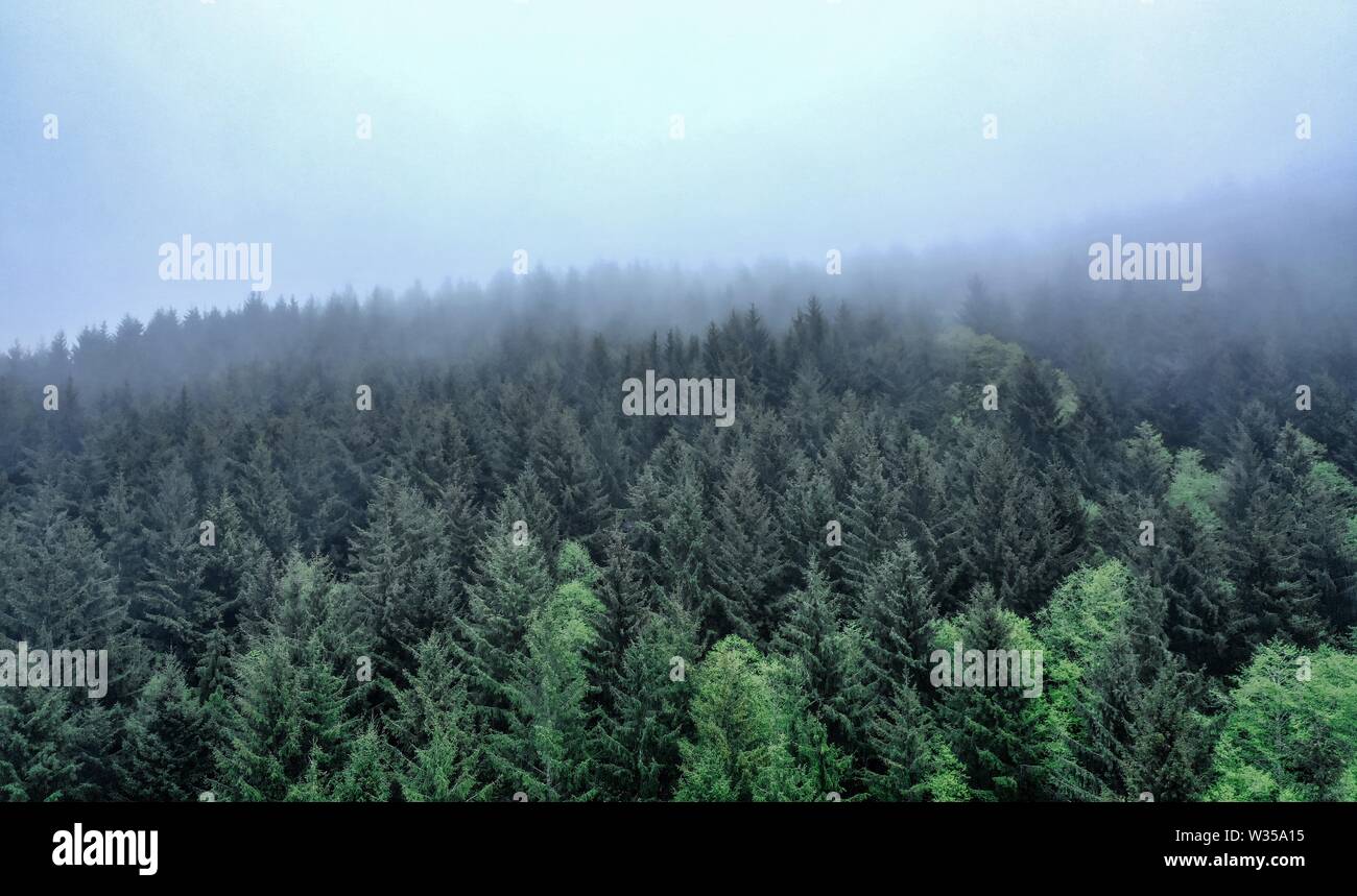 Drone shot tropical rain forest hi-res stock photography and images - Alamy