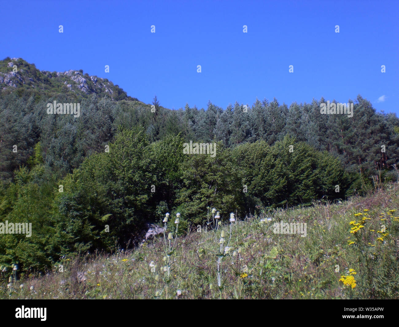 Mountains at the back hi-res stock photography and images - Alamy