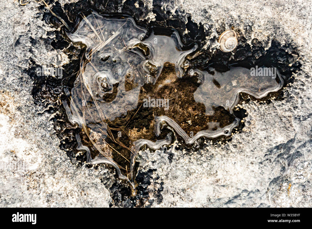 Close up of a limestone rock with an irregular shape with a depression ...