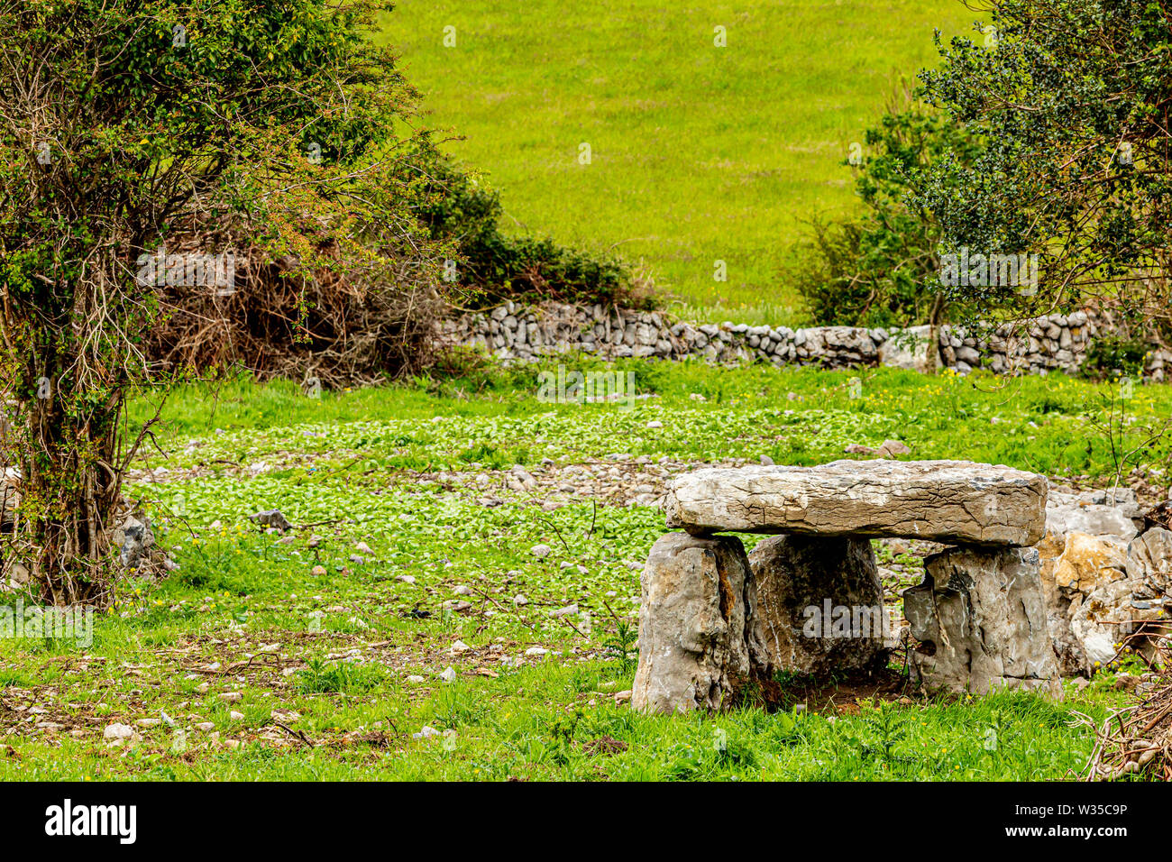 Irish dolmen in a meadow with green grass, geosites and geopark, Wild ...