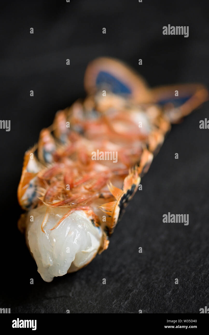 A single, raw lobster tail from a lobster, Homarus gammarus, that was ...