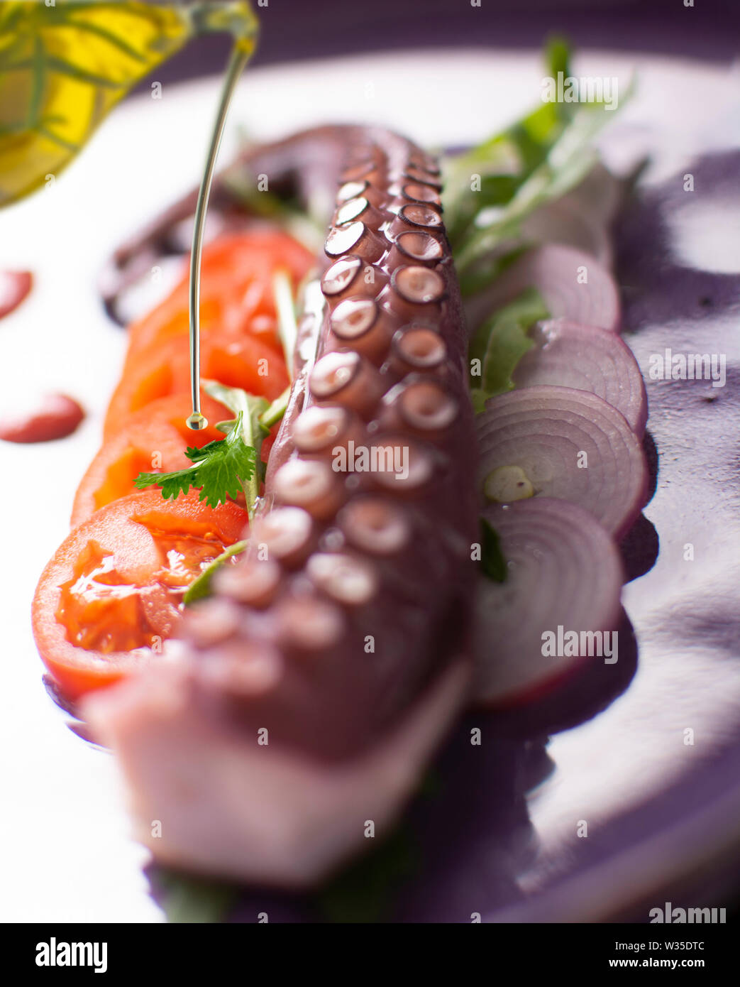 Octopus poster hi-res stock photography and images - Alamy