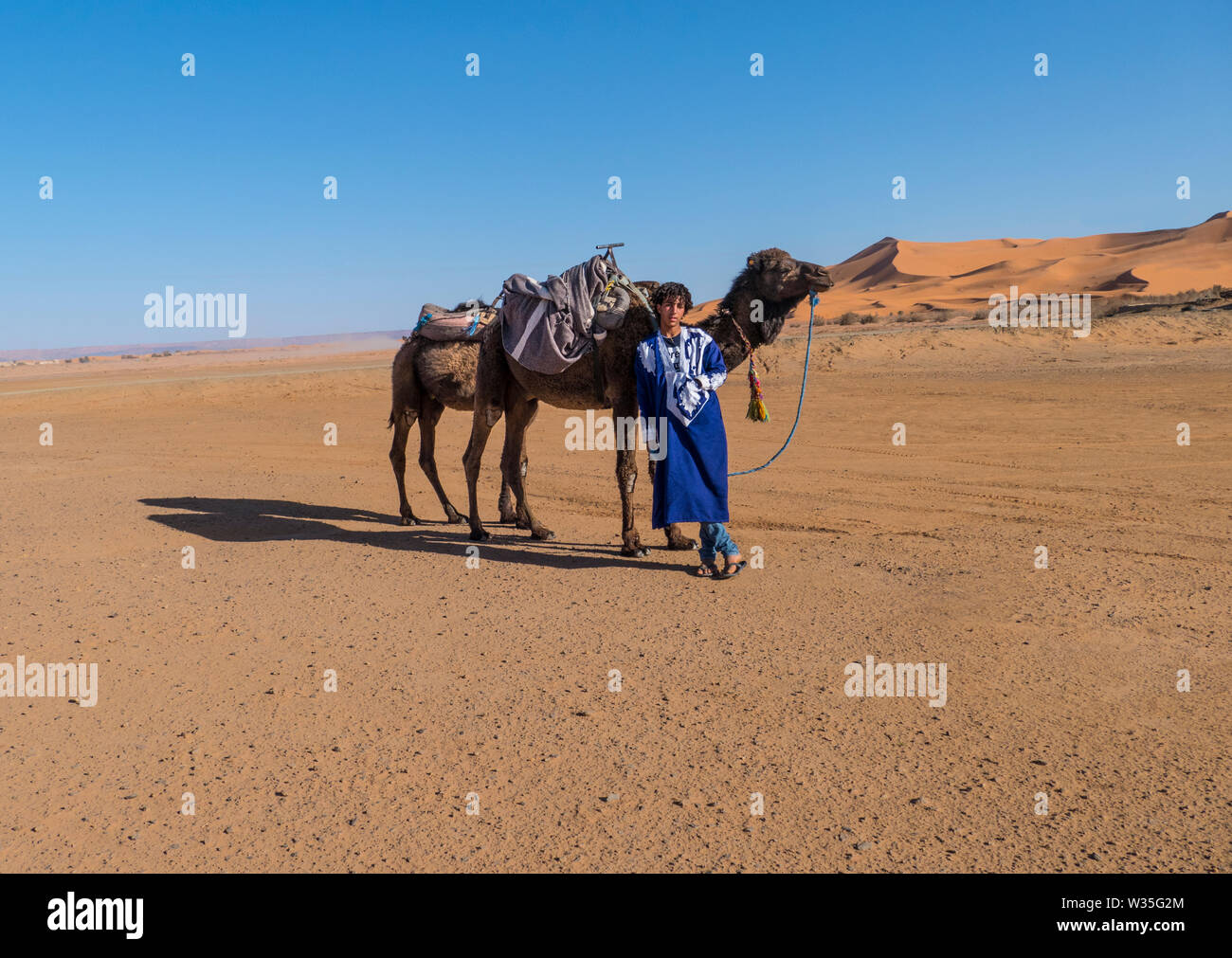 Camel handler hi-res stock photography and images - Alamy