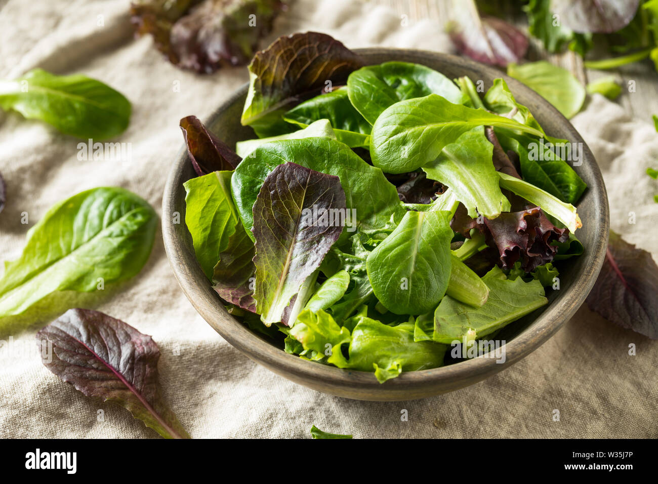 Mix lettuce hi-res stock photography and images - Alamy