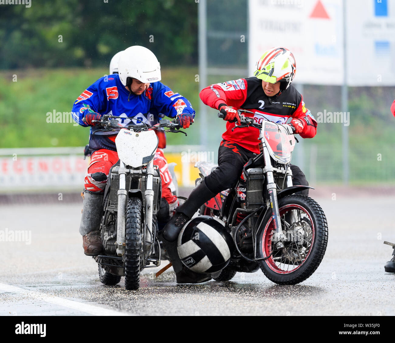 Sebastian fox hi-res stock photography and images - Alamy