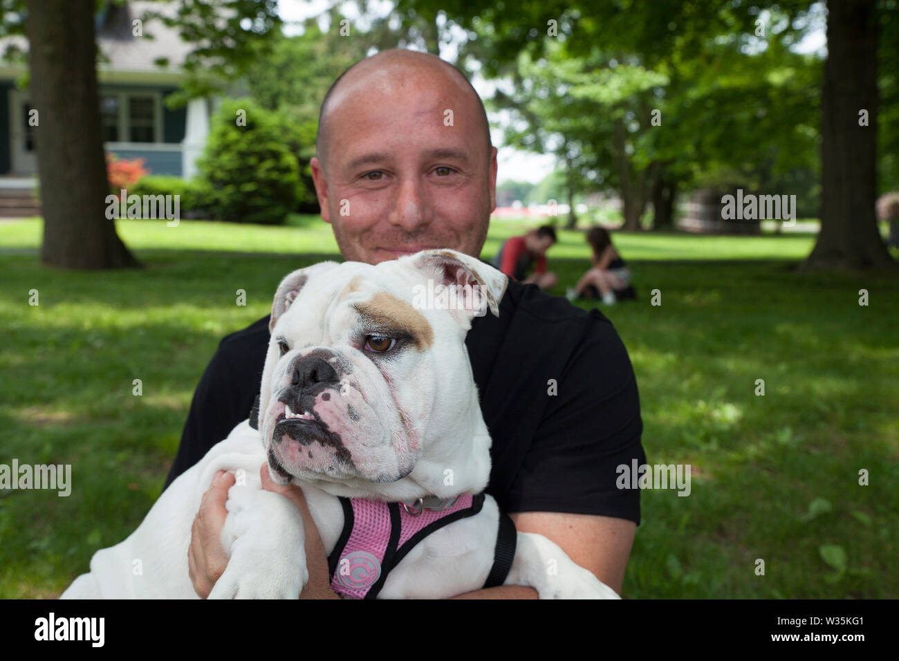 Happy man show off his English bulldog Stock Photo - Alamy