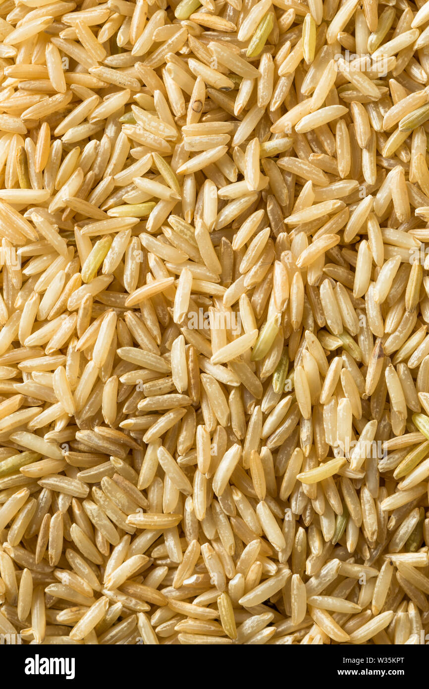 Dry Organic Indian Basmati Rice Ready to Cook Stock Photo - Alamy