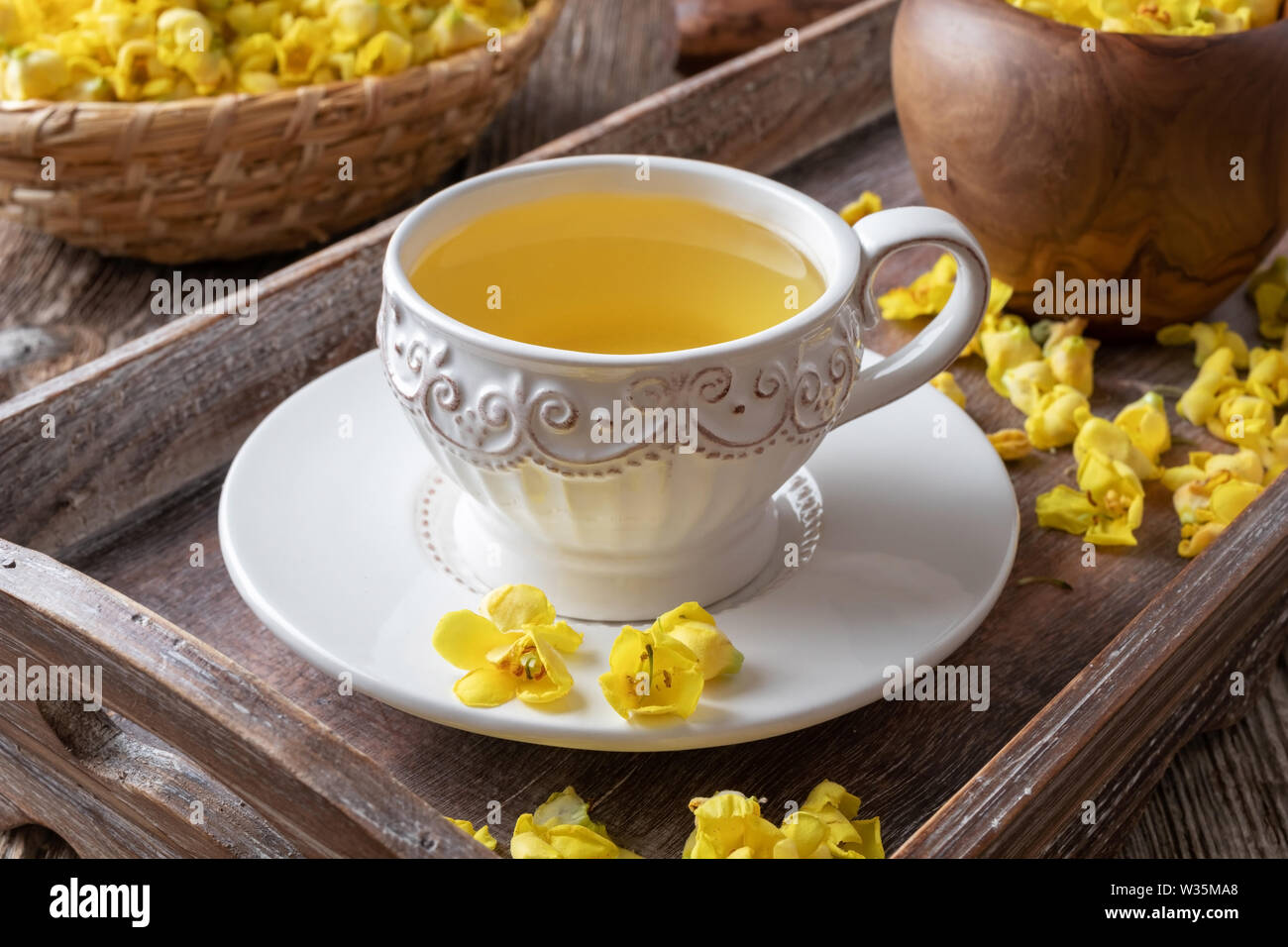 A vintage cup of mullein tea with fresh blooming Verbascum densiflorum ...