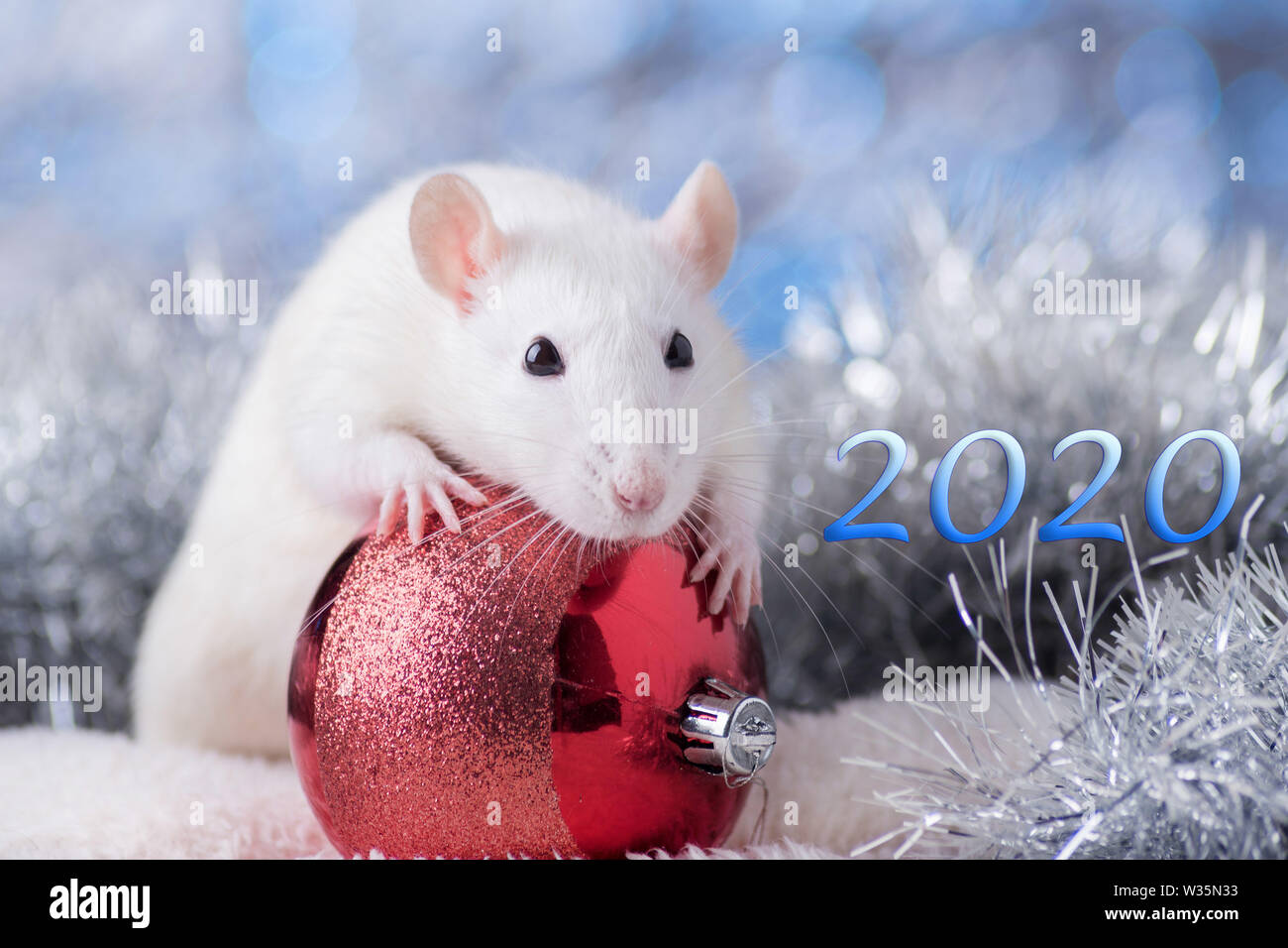 Happy New Year! Symbol of New Year 2020 - white or metal (silver) rat ...